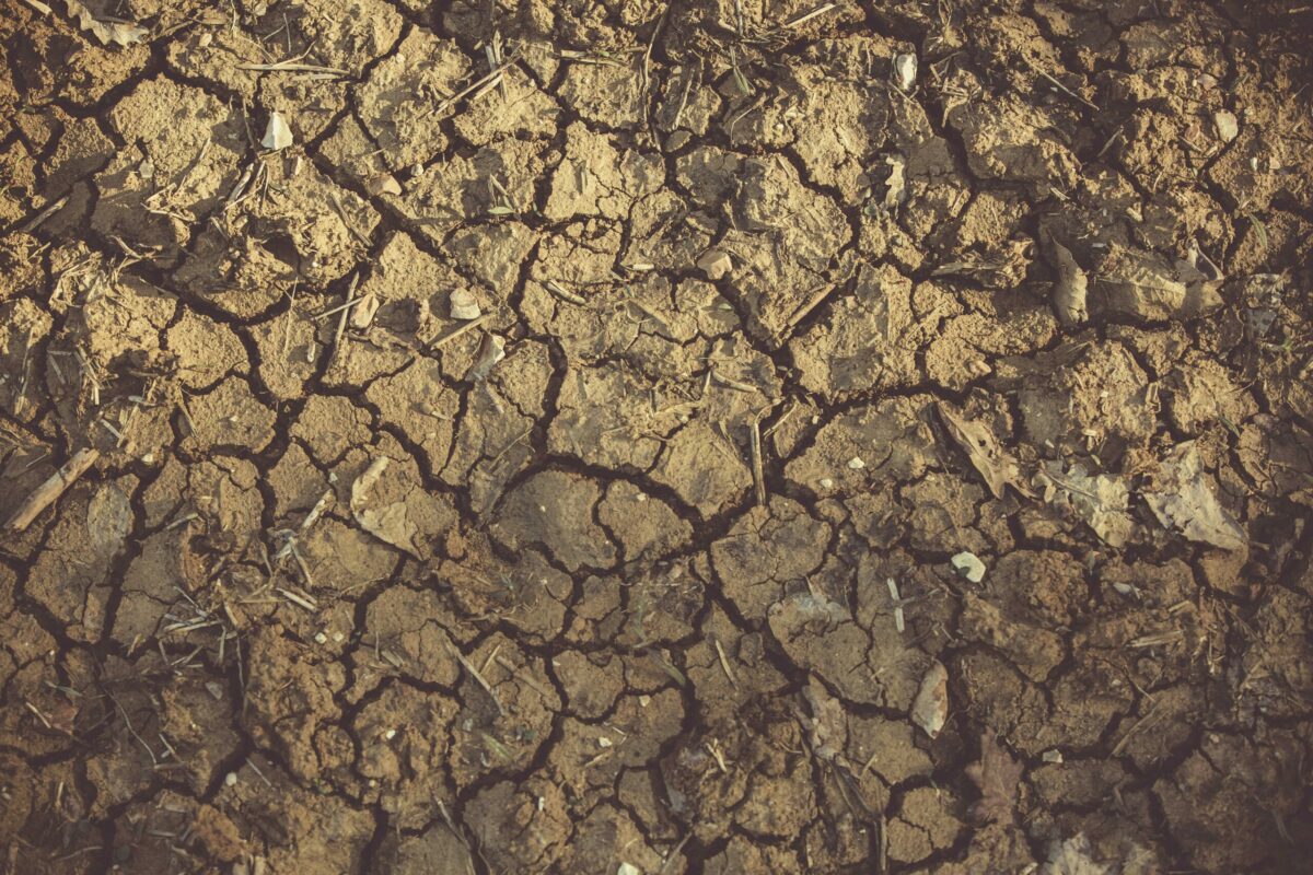 The Dirt on Building a Strong Foundation in Texas